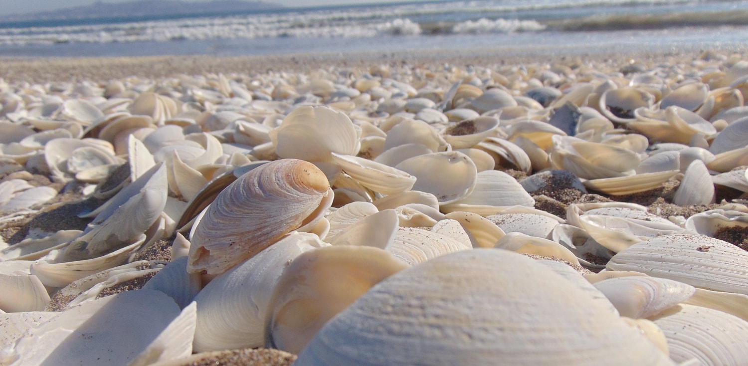 Project finder | Scotland's environment web